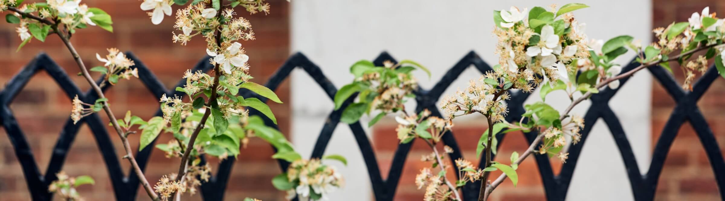 Chambers' Social Responsibility | 3VB